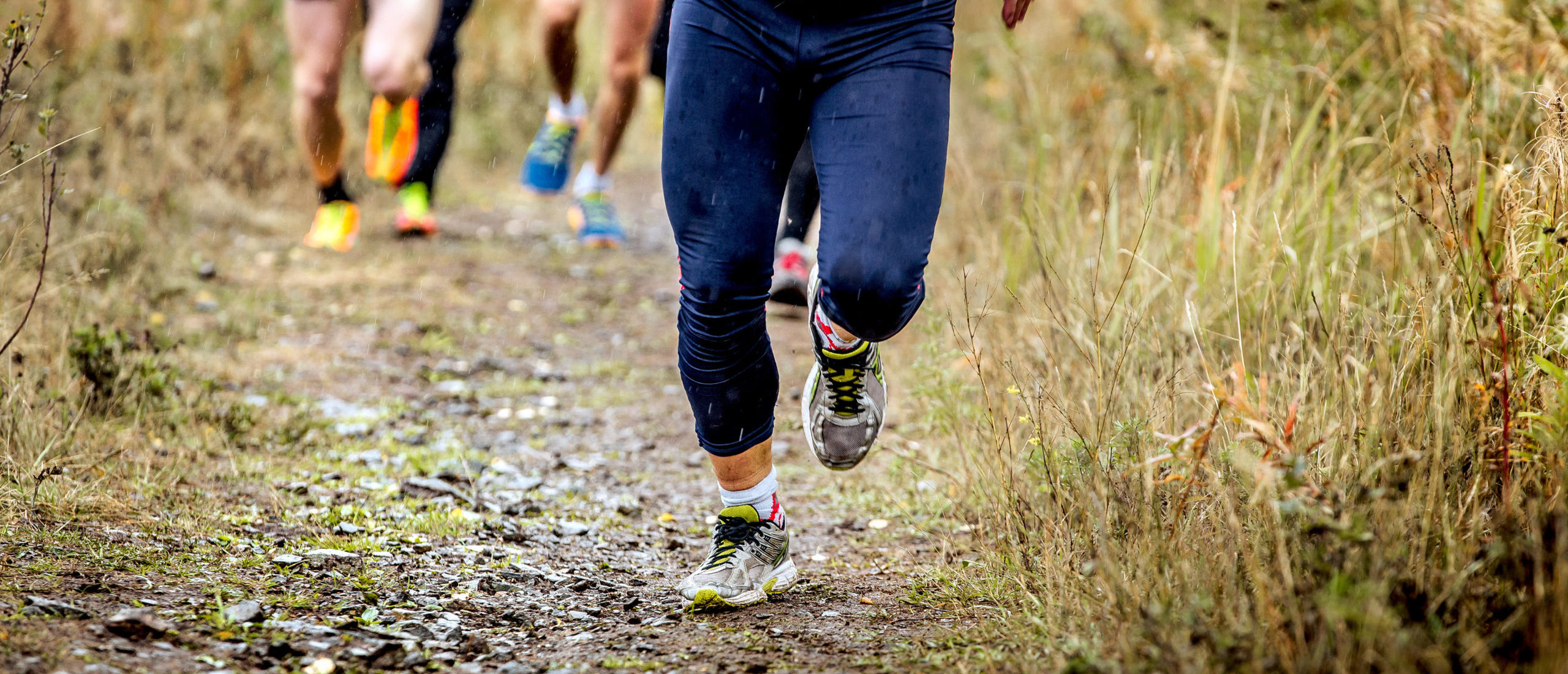 Bass Belle Ten Miler 2025 - Cambridge & Coleridge Athletic Club